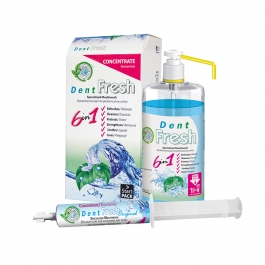 Zestaw startowy DENT FRESH Original 50 ml - płukanka niebieska